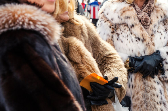 California bans sale of fur and use of animals in circuses