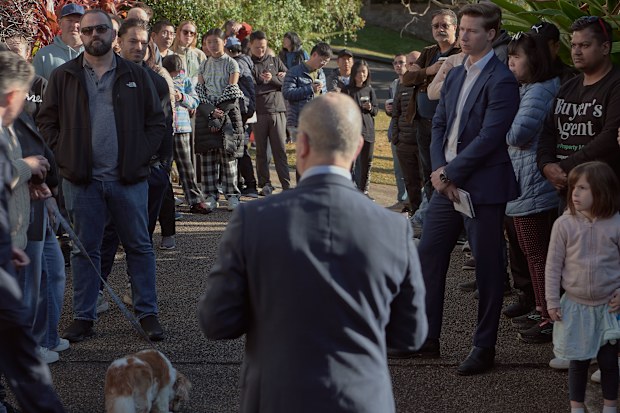 PXA ASX: The real estate monopoly’s stand-in CFO