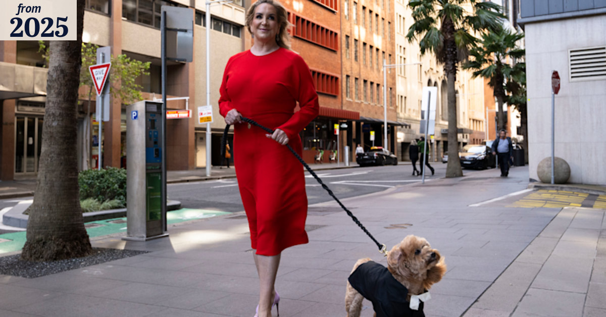 Celebrity cavoodle Oscar in the news as owner in dispute with former ...