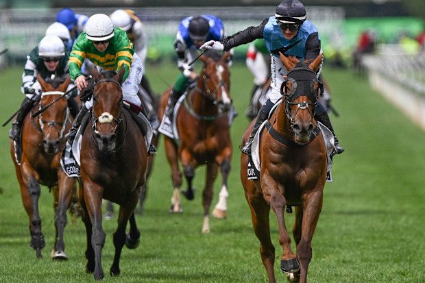 Spring racing carnival: Bookmakers face heavy losses as favourites keep ...