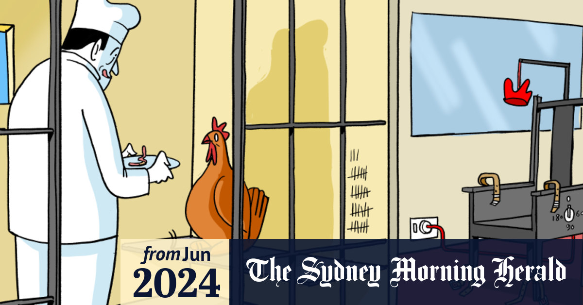 Cartoons of the week