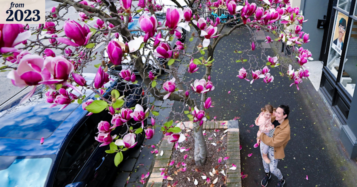 Climate change: Early spring in Victoria signals hot, dry summer