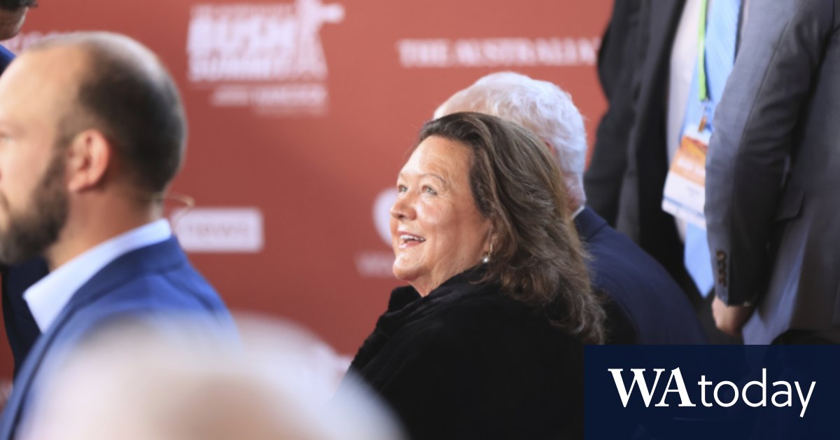 Hope Downs case: Gina Rinehart finds unlikely ally