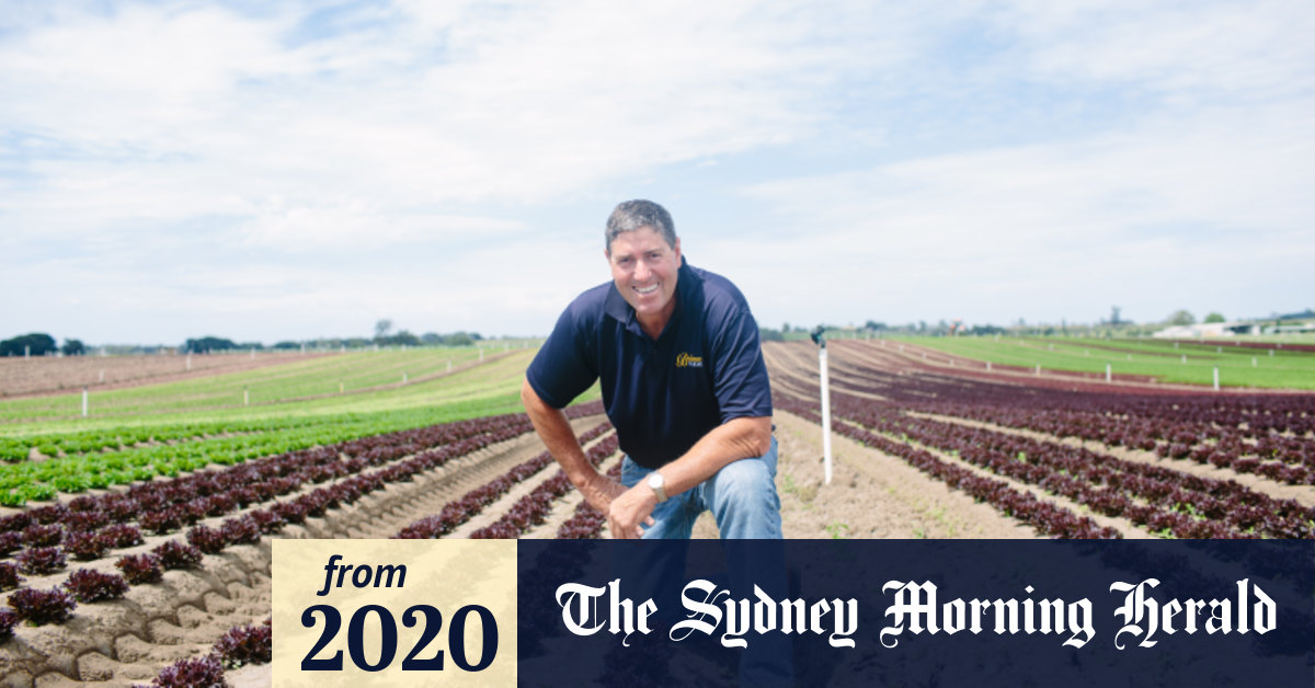 Farm labour shortage risks food price spike as Aussies shun harvest jobs