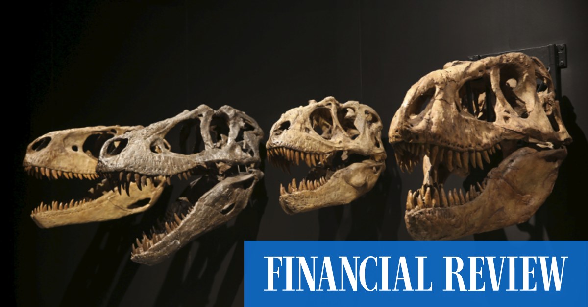Was T. rex as smart as a primate? Just how clever was the king tyrant ...