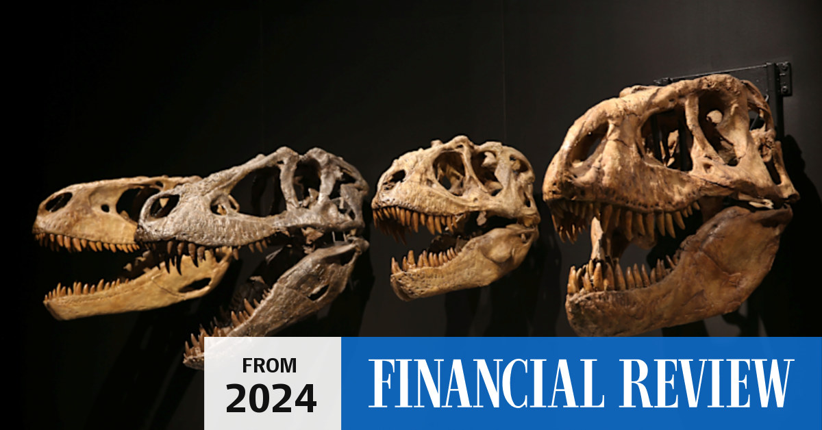 was t rex intelligent