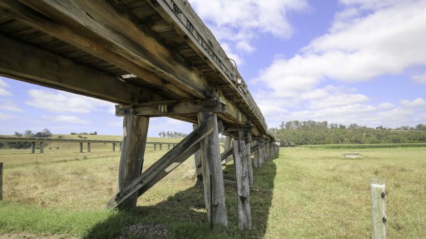 'It's now or never': The campaign to save Victoria's longest timber ...
