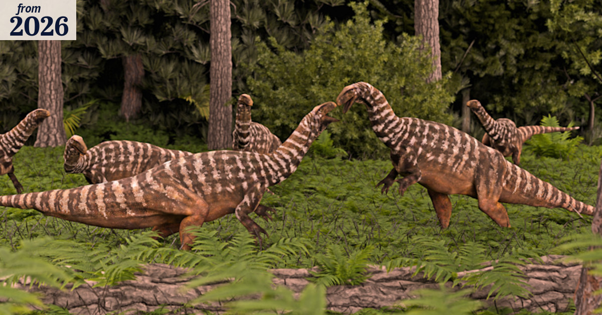 Australia’s oldest dinosaur fossil was found in which suburb? Take the ...