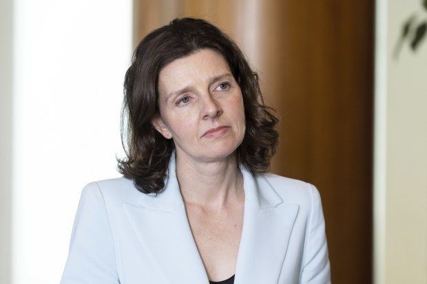 Allegra Spender seeks Senate support for citizens’ assembly on housing