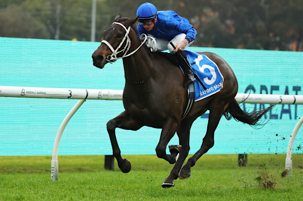 Horse racing: Godolphin loses $27.3 million as it misses its big name ...