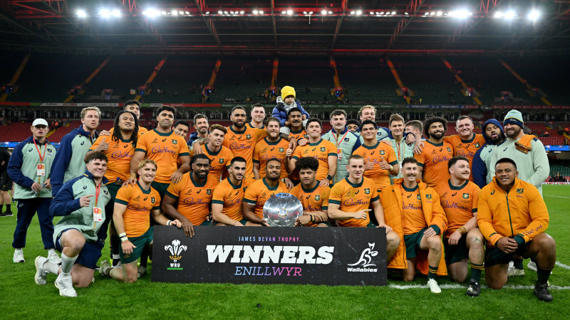 Wallabies show marked improvement in 2024 under coach Joe Schmidt ...