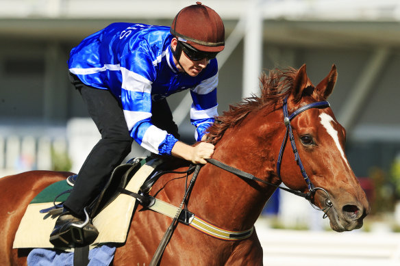 'Things could not have gone better': Punters flock to Gytrash