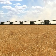 Nuveen adds Moree farms to $3.5b global agriculture fund