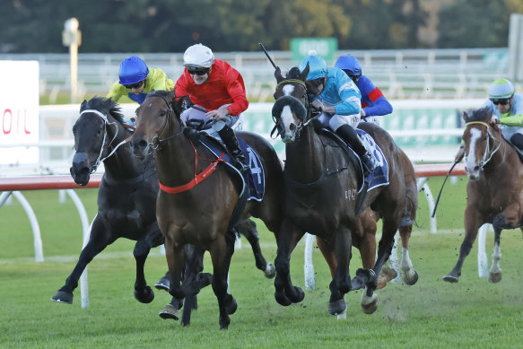 Scone Cup races Friday tips and full preview