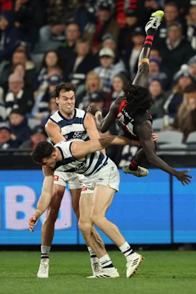 Geelong Cats vs Essendon Bombers: Follow AFL round 22 scores, results ...