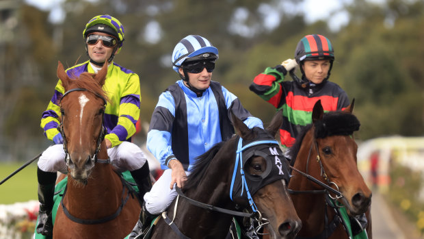 Race-by-race preview and tips for Tamworth on Monday