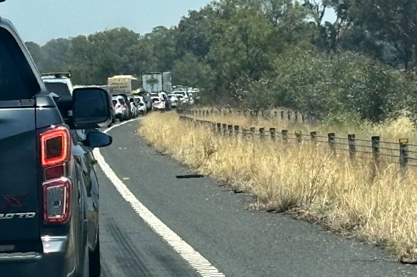 Victoria bushfires 2026: Long grass seen beside the Hume Freeway before ...