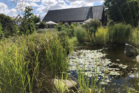 Garden-based therapy: When horticulture becomes healthcare