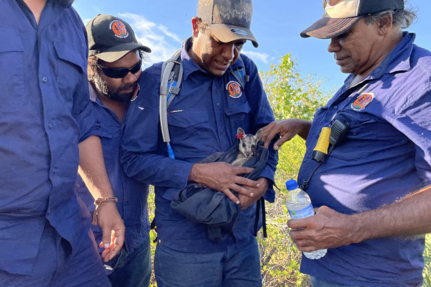 Indigenous land management meets the latest drone technology