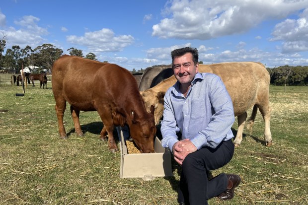 Rumin8 managing director David Messina aims to replicate asparagopsis ...