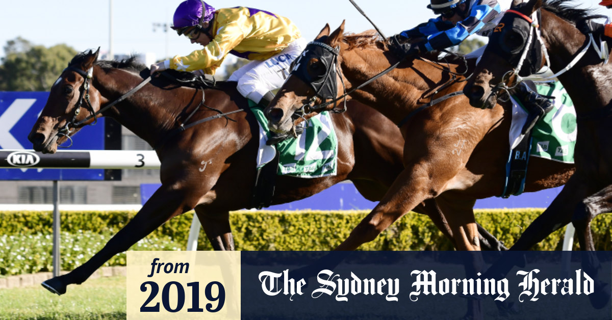 Tips and race-by-race preview of Forbes on Monday