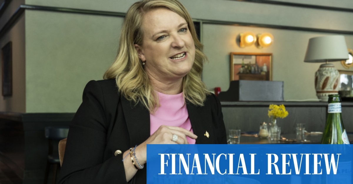 Teal independent Kylea Tink on her goals for her political career