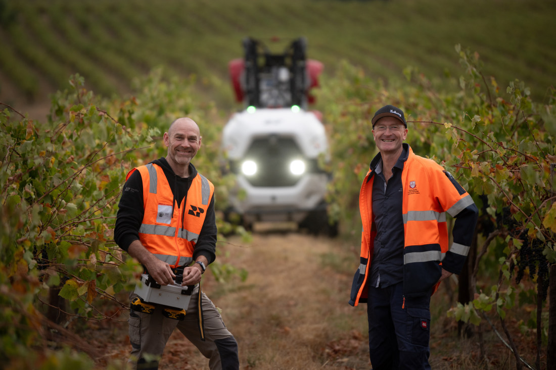 Artificial intelligence: How BHP, Treasury Wine and Suncorp are using AI