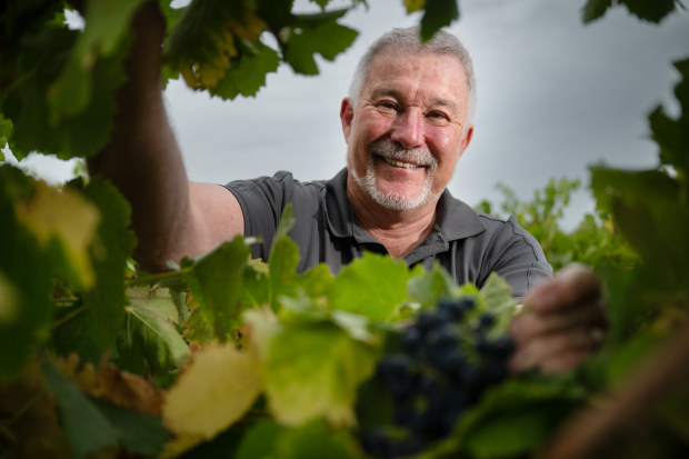 TWE ASX: Treasury Wine to lift Penfolds prices as China loosens tariffs