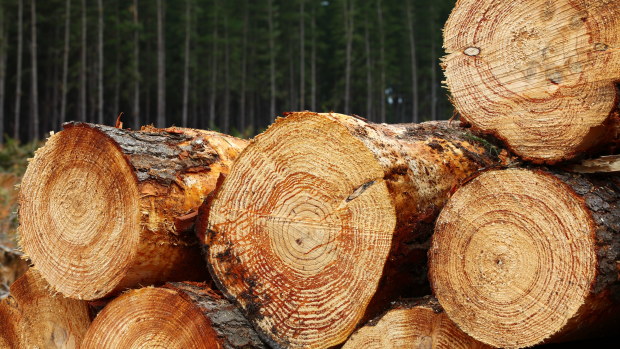 New Forests adds Bunbury timber plantations to $870m fund