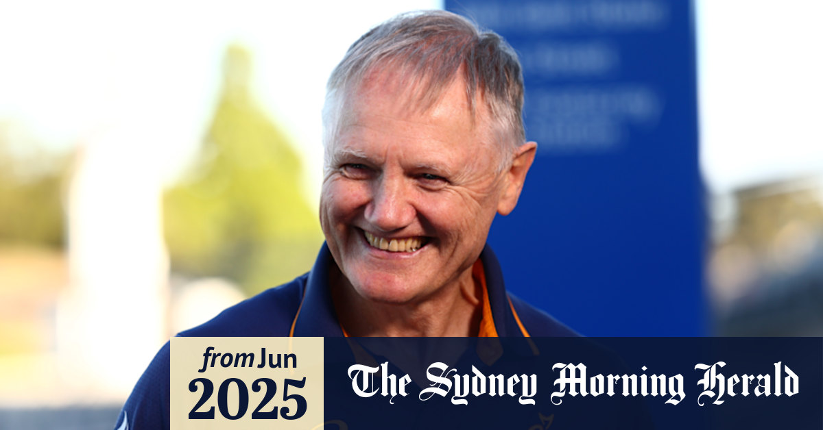 Wallabies: Joe Schmidt declares Queensland Reds star Harry Wilson is ...