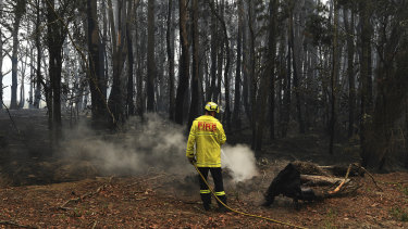 Emergency medal to recognise bushfire 'service and sacrifice'