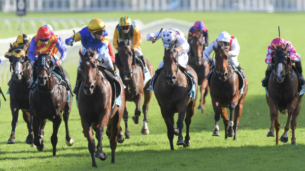 Money or the box? Everest or Europe looms for Santa after TJ Smith win