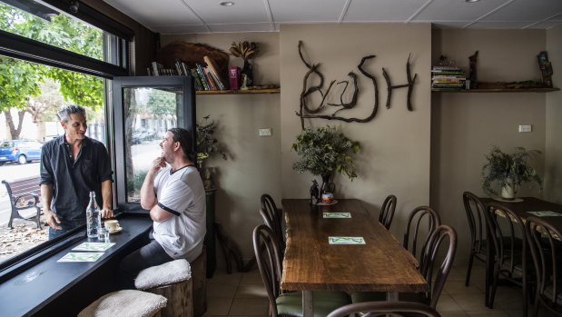 Bush review: Where a country practice meets city life