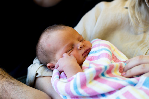 First Australian baby born via in vitro maturation, low-cost ...
