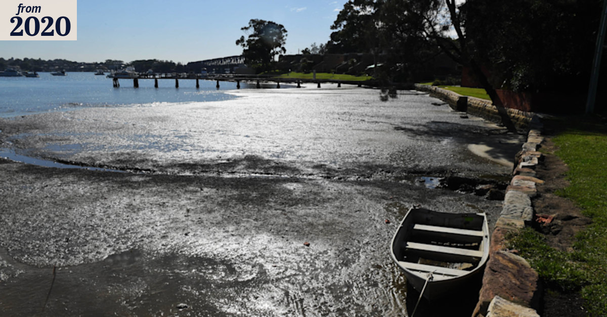 Estuaries warming and acidifying because of climate change, study finds