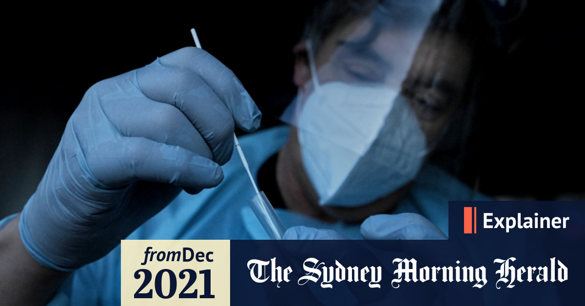 How do rapid antigen tests work and how reliable are they?