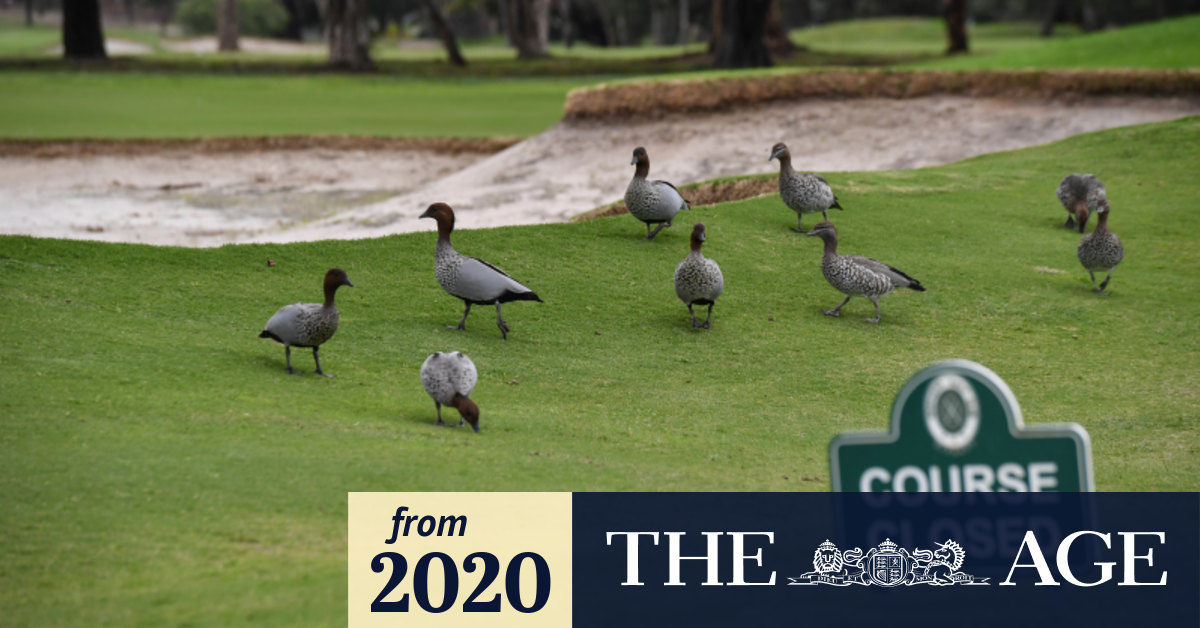 'Up to Dan': Premier the bogey man as top club goes from tee to dinner