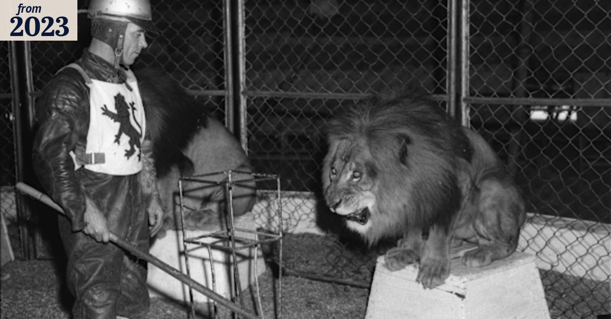 From the Archives, 1958: Lion bites off boy’s arm at circus