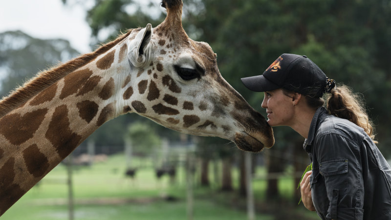 The Mogo Zoo animal rescue operation that became the pride of the town