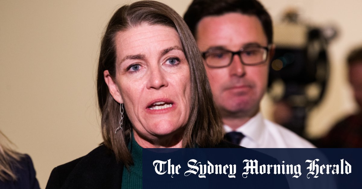 Perin Davey: Nationals MP helped write parliament’s alcohol rules