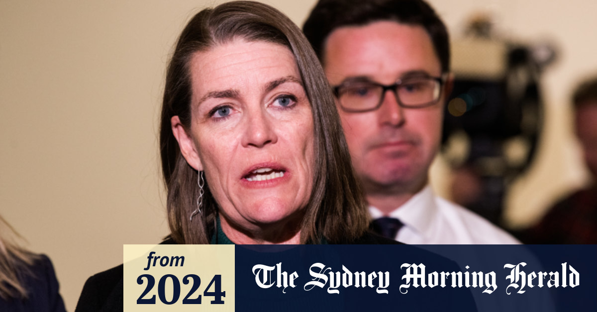 Perin Davey: Nationals MP helped write parliament’s alcohol rules