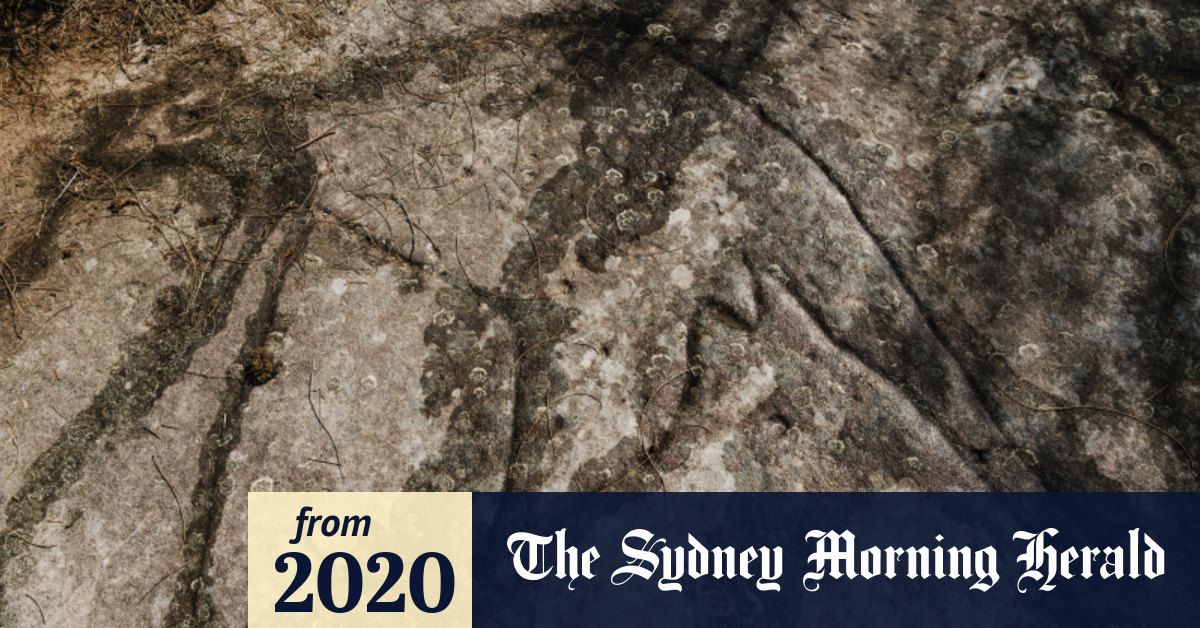 'Protect all of this': Victory in the fight to defend Aboriginal carvings