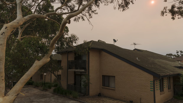 Bronson Pont's parents allege Glebe morgue made mistakes with son's autopsy