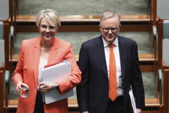 Anthony Albanese ‘absolutely Denies Tanya Plibersek Feud