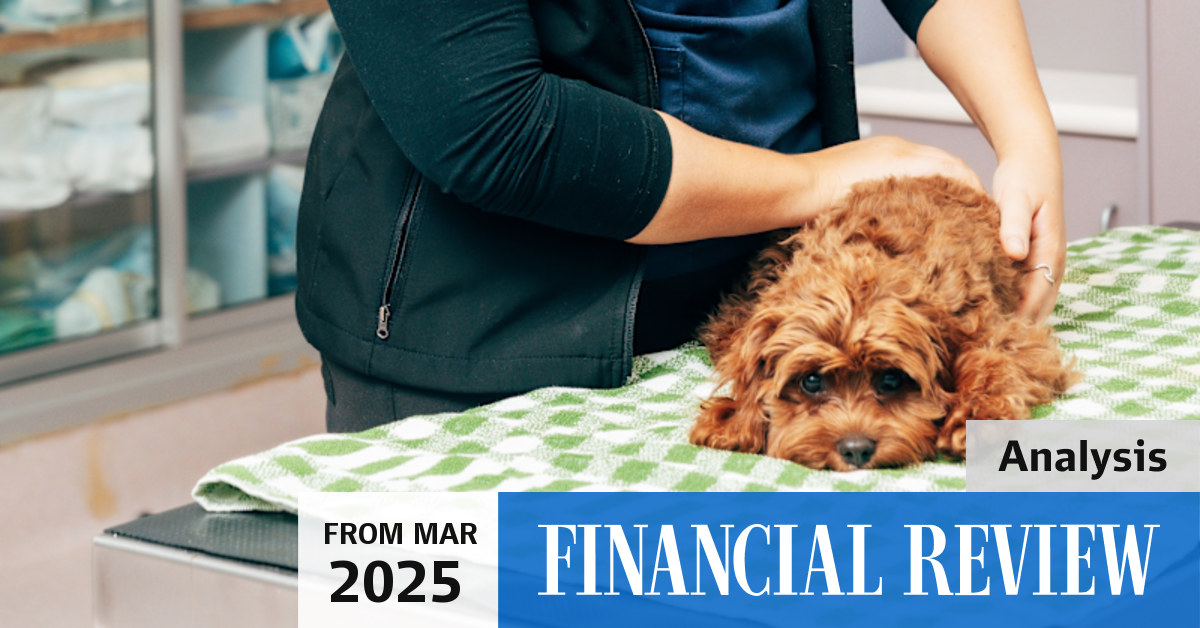 CVS group: Why a British vet giant is circling Australia