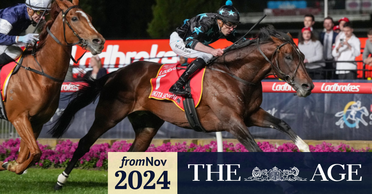 Melbourne Cup 2024: How to win the trifecta, according to experts