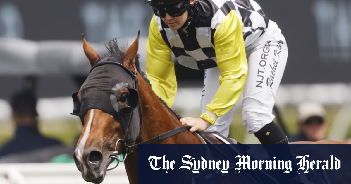 Race-by-race preview and tips for Kensington on Saturday