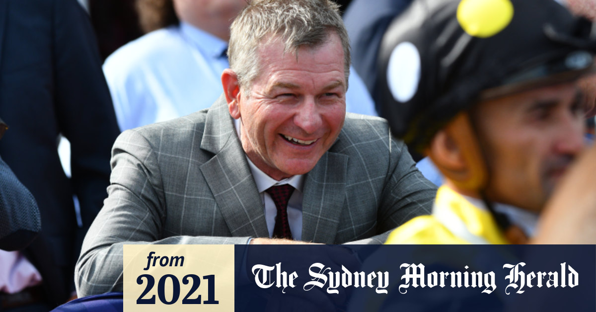 Horse racing 2021: Shalaa’s progeny Mobstar, Tidal Impact to race at ...