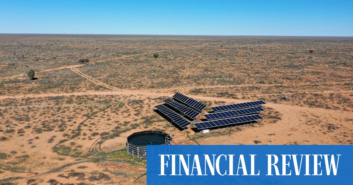 Consolidated Pastoral Company, owned by UK billionaire, buys Madura ...