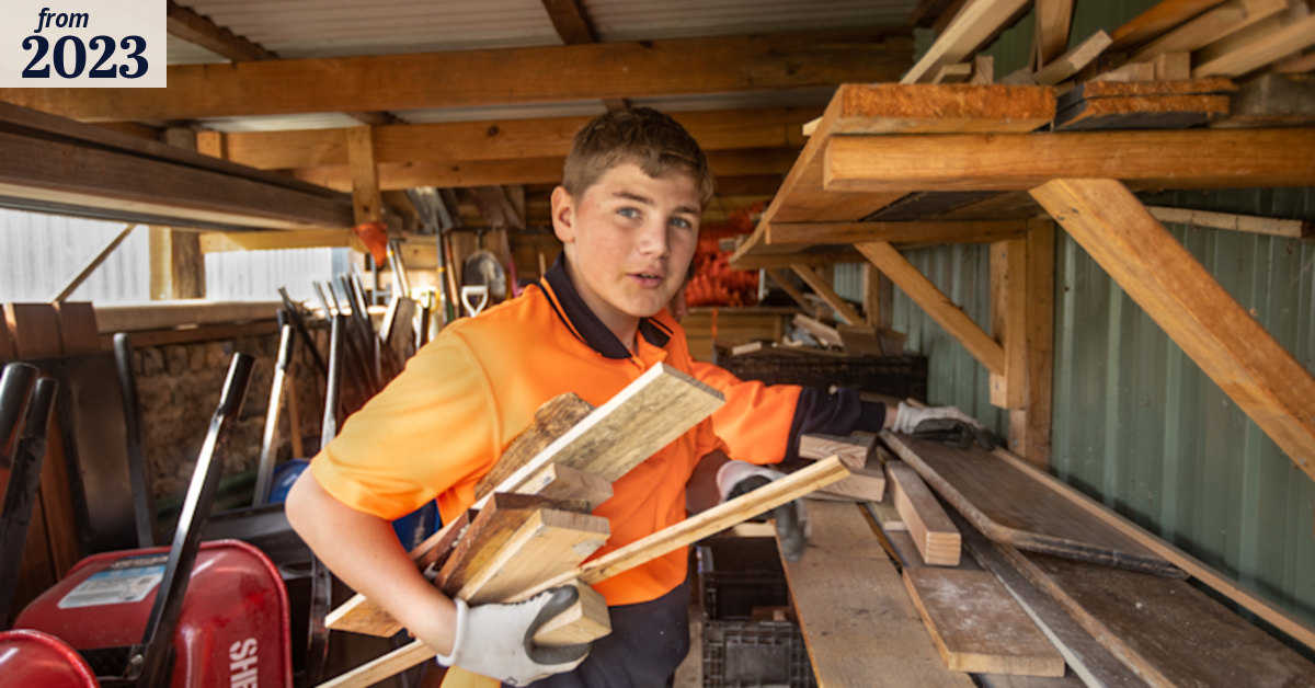 Schools that excel 2023: McClelland College, Balcombe Grammar crowned ...